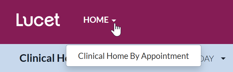 How to Use the Clinical Home Page